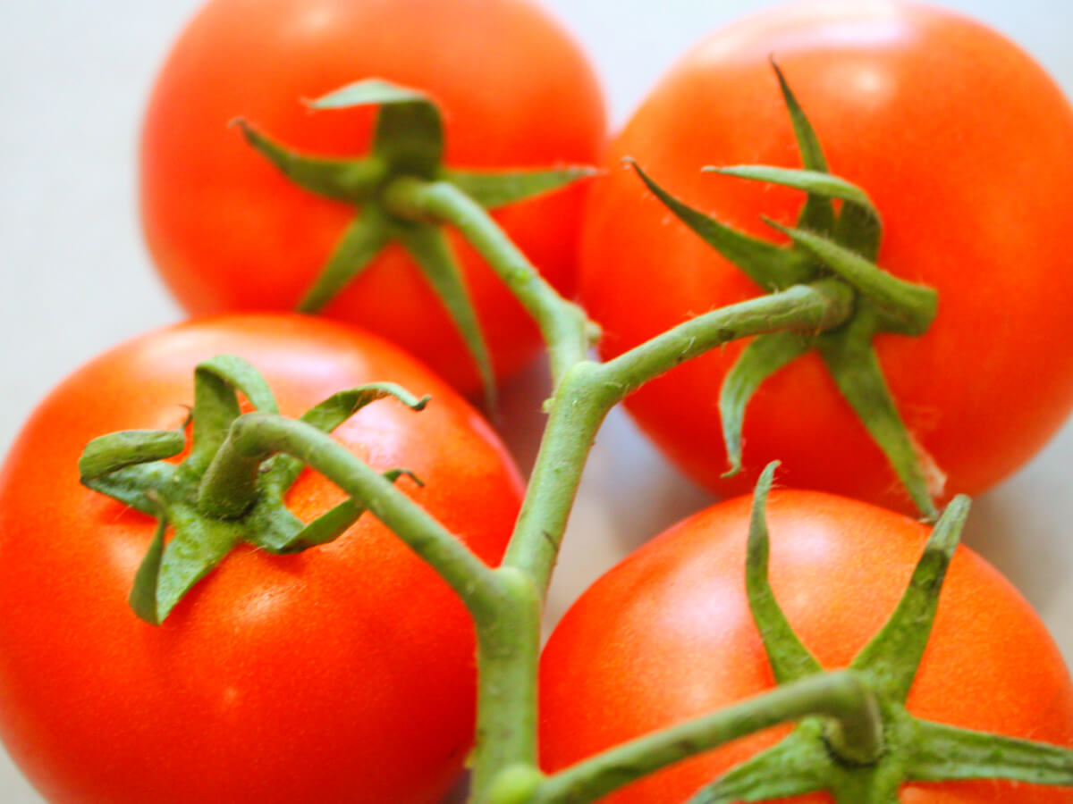 Chunky Restaurant Style Salsa Recipe (Mild) tomatoes | Messy Vegan Mama